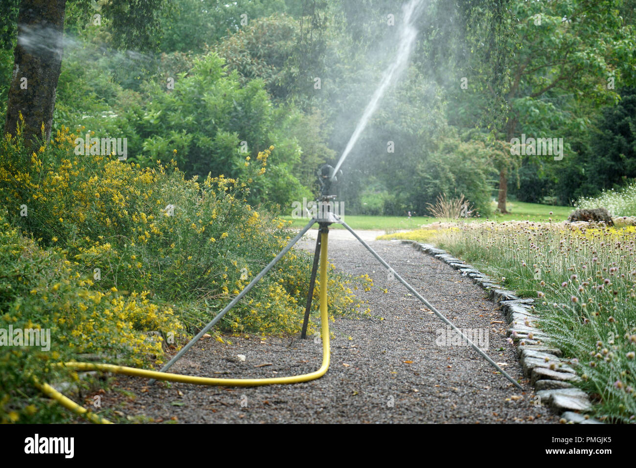 A professional irrigation system pours your plants individually and ...
