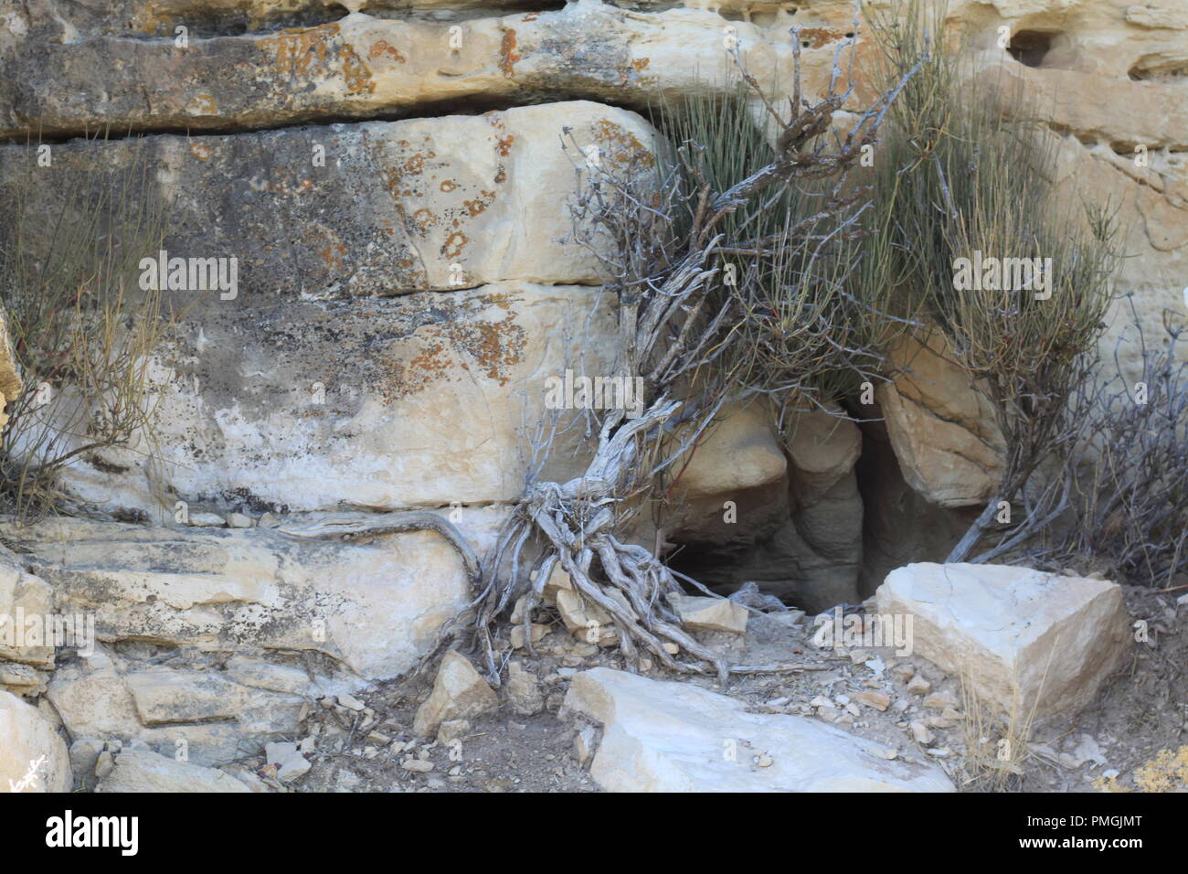 Small canyon hi-res stock photography and images - Alamy