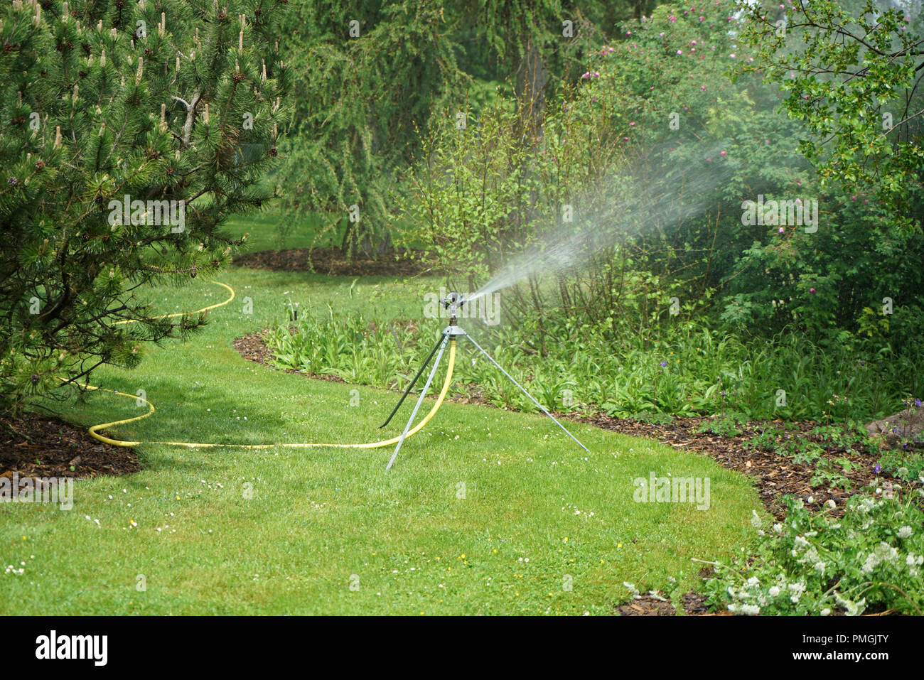 A professional irrigation system pours your plants individually and ...