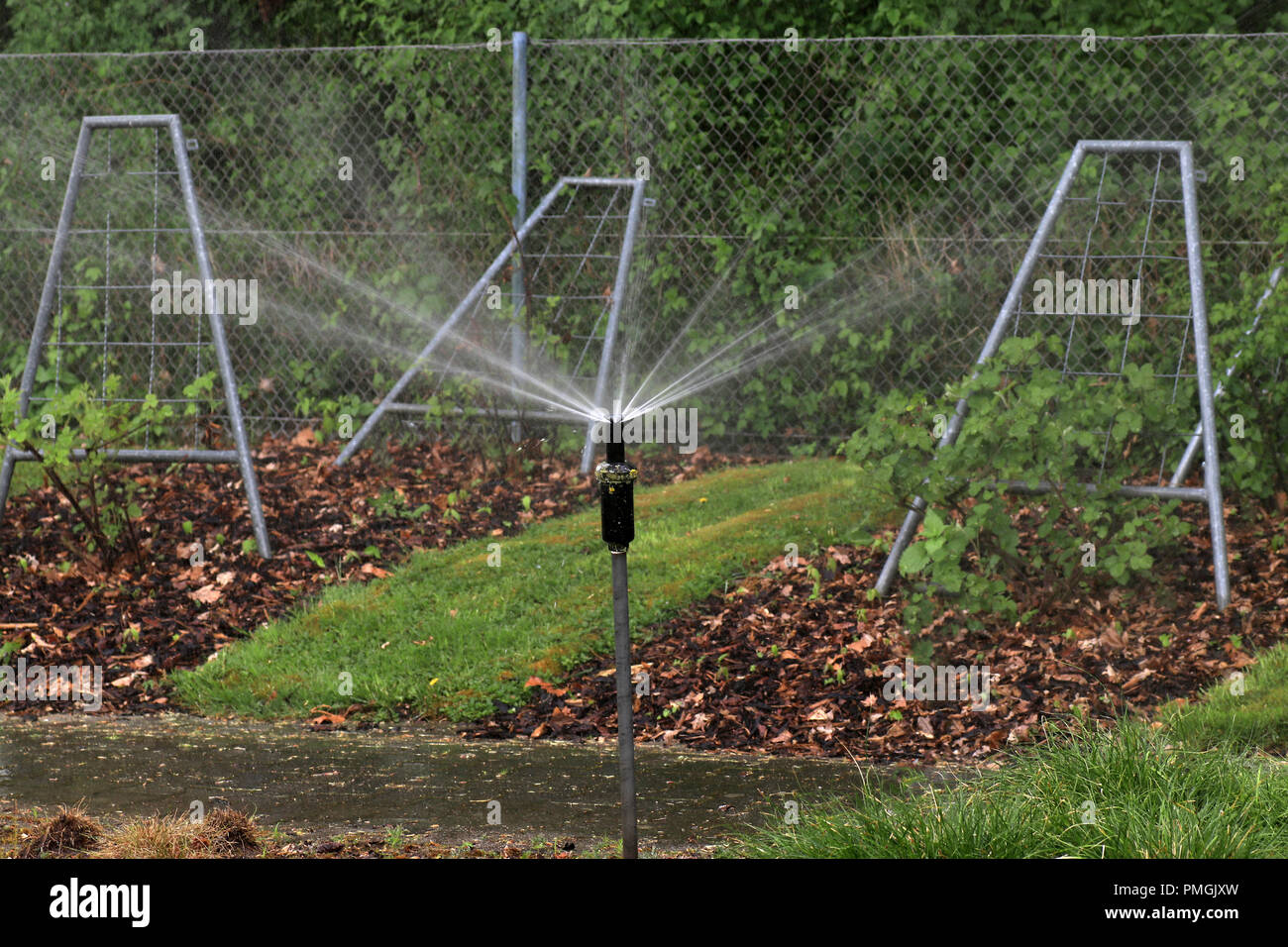A professional irrigation system pours your plants individually and ...