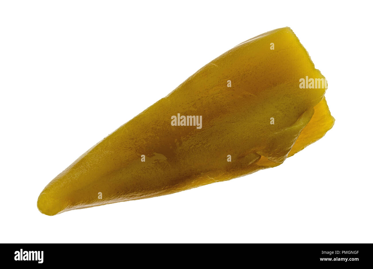 Top view of a single green chiles isolated on a white background Stock ...