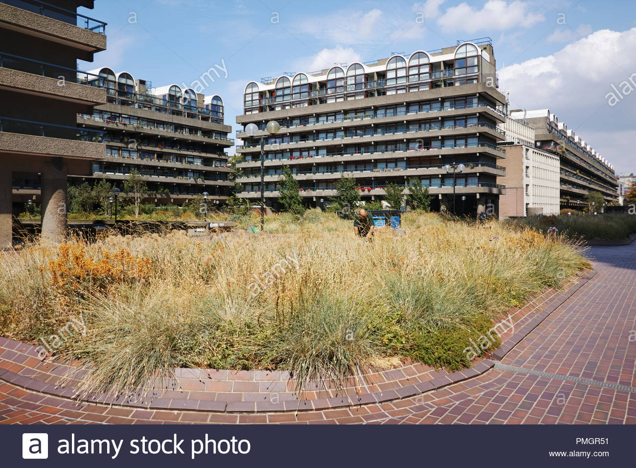 Planting Design High Resolution Stock Photography and Images - Alamy