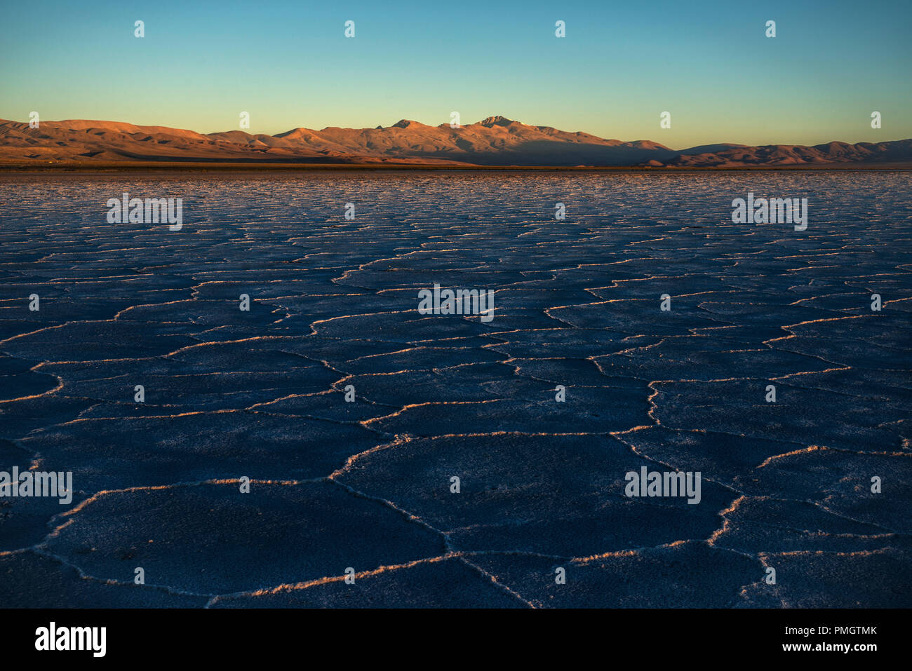 Cracked salt hi-res stock photography and images - Alamy