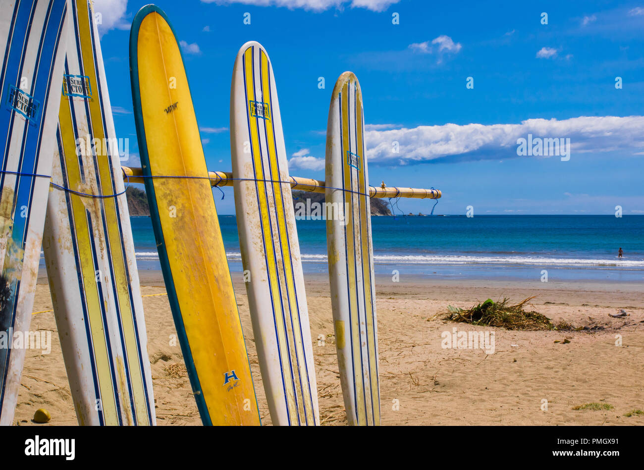 June Beach Background