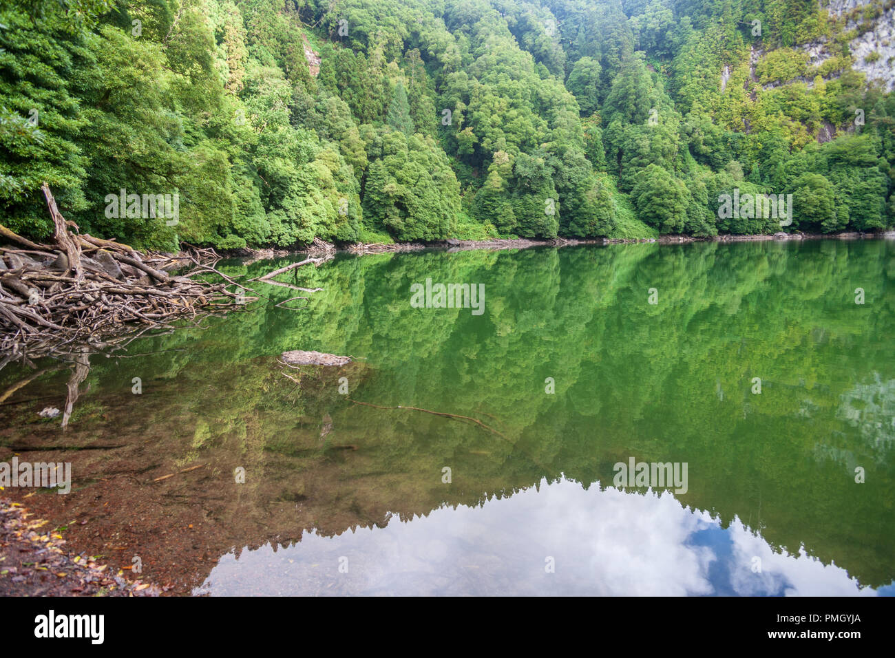 lake congro sao miguel azores Lagoon Congro (Lagoa do Congro Stock ...