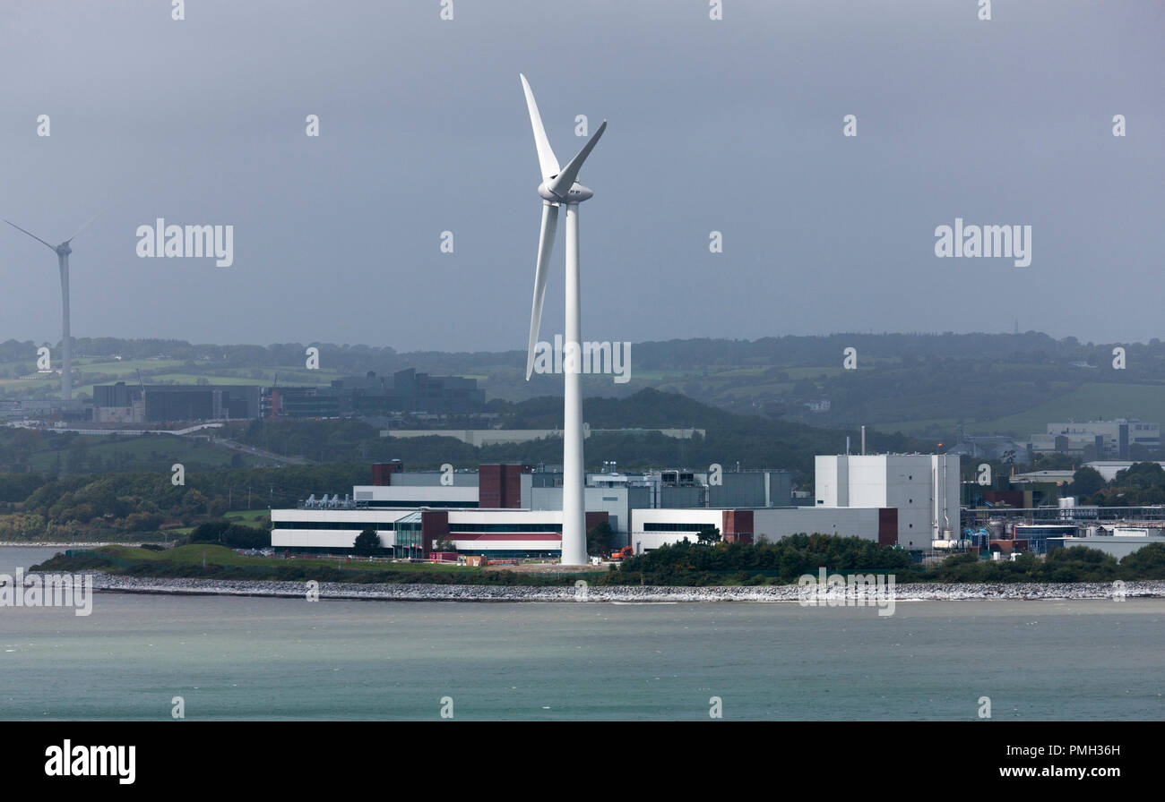 Depuy hip hi-res stock photography and images - Alamy