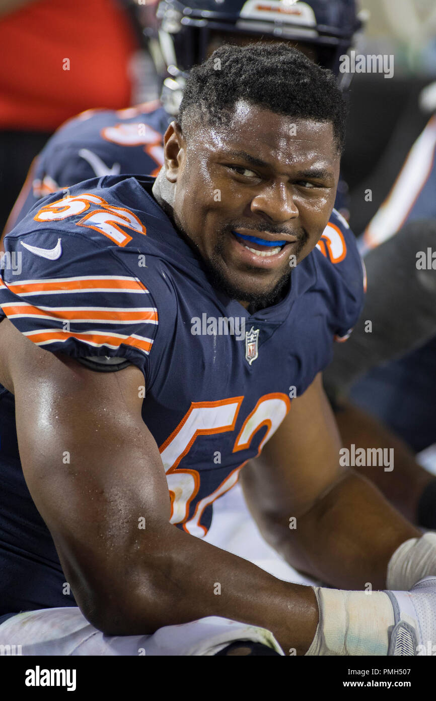 Khalil mack bears hi-res stock photography and images - Alamy