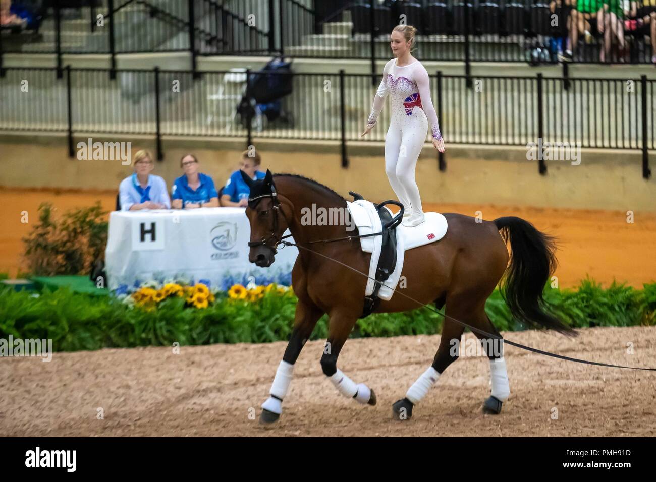 Equestrian vaulting hi-res stock photography and images - Alamy