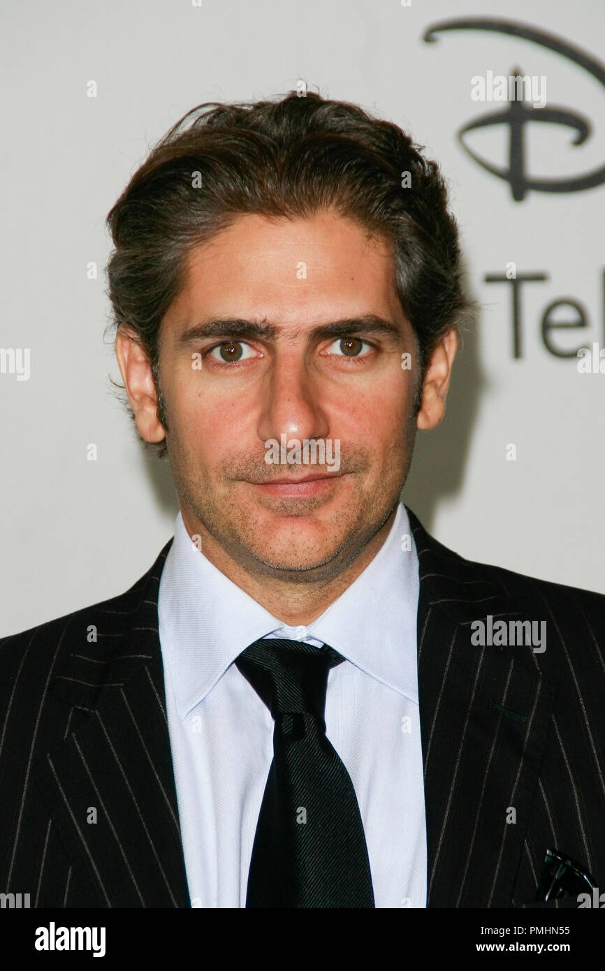 Michael Imperioli at the Disney ABC Television Group's 2010 Summer ...