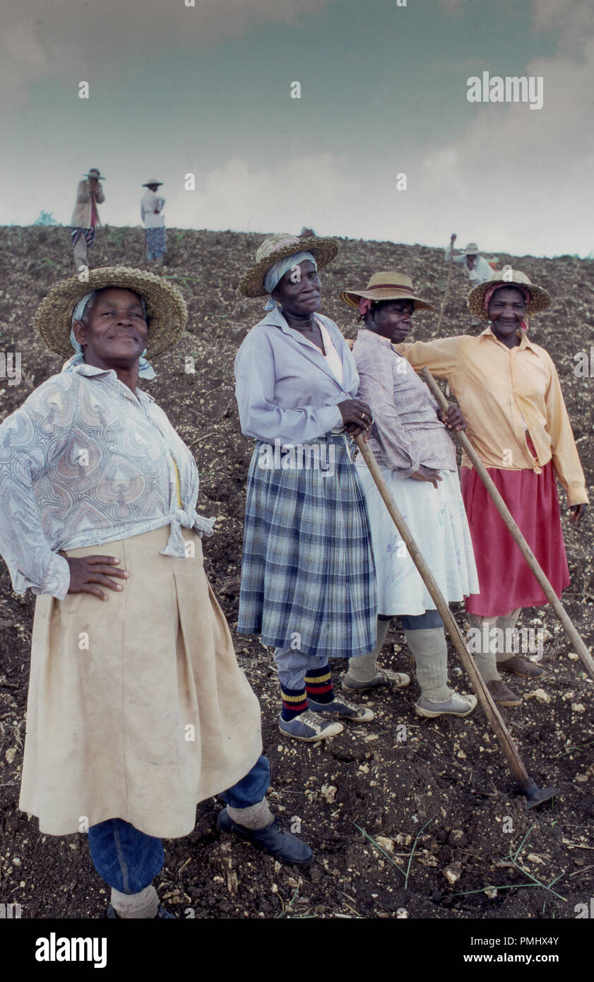 Slave plantation hi-res stock photography and images - Alamy
