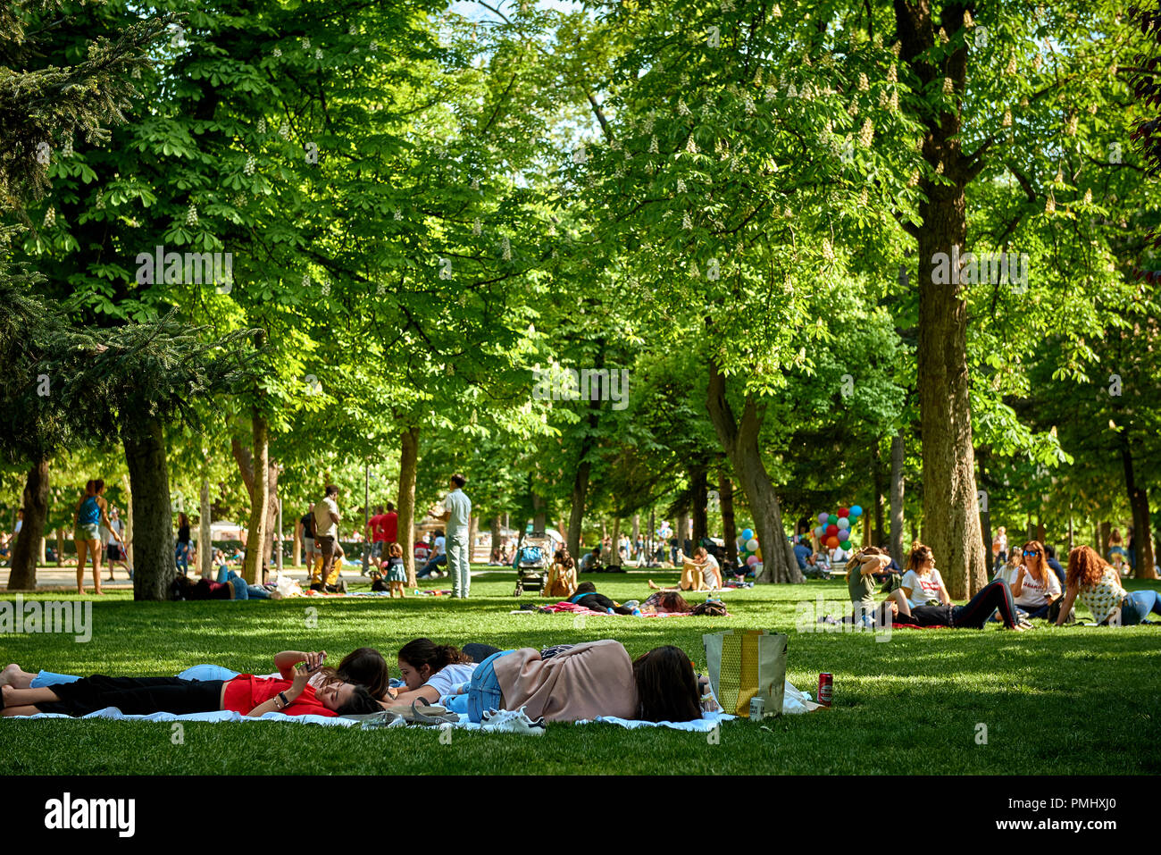 Group of people enjoying a social gathering in the park lying down on ...