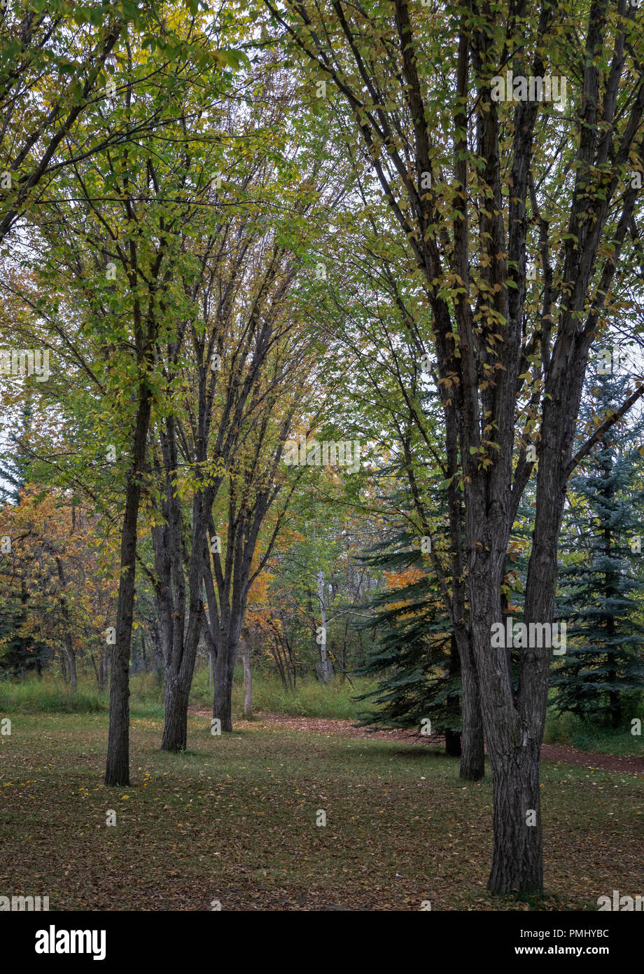 Edworthy park environment hi-res stock photography and images - Alamy