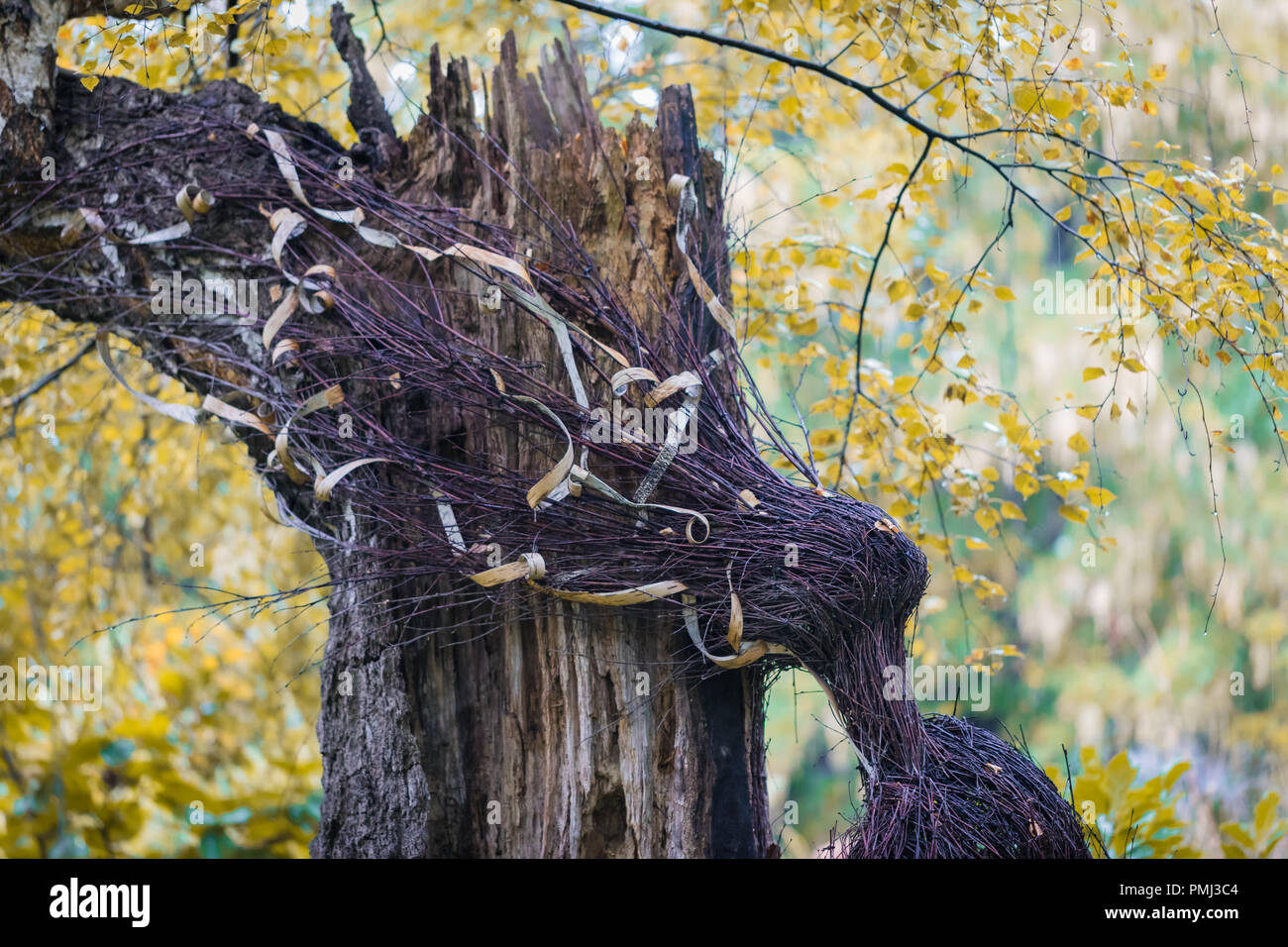 Tree Branch Sculpture