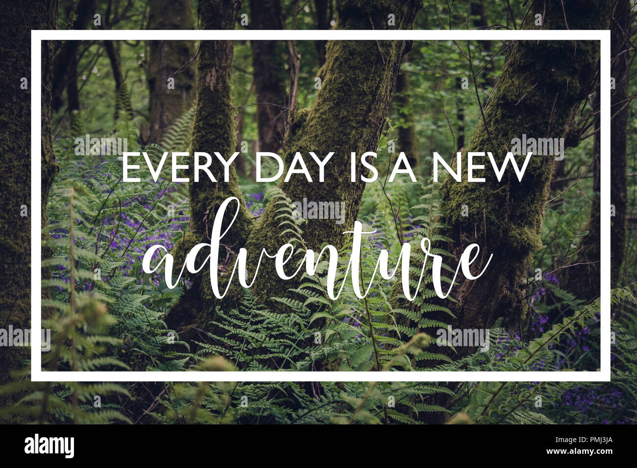 Motivational quote positive thinking hi-res stock photography and ...