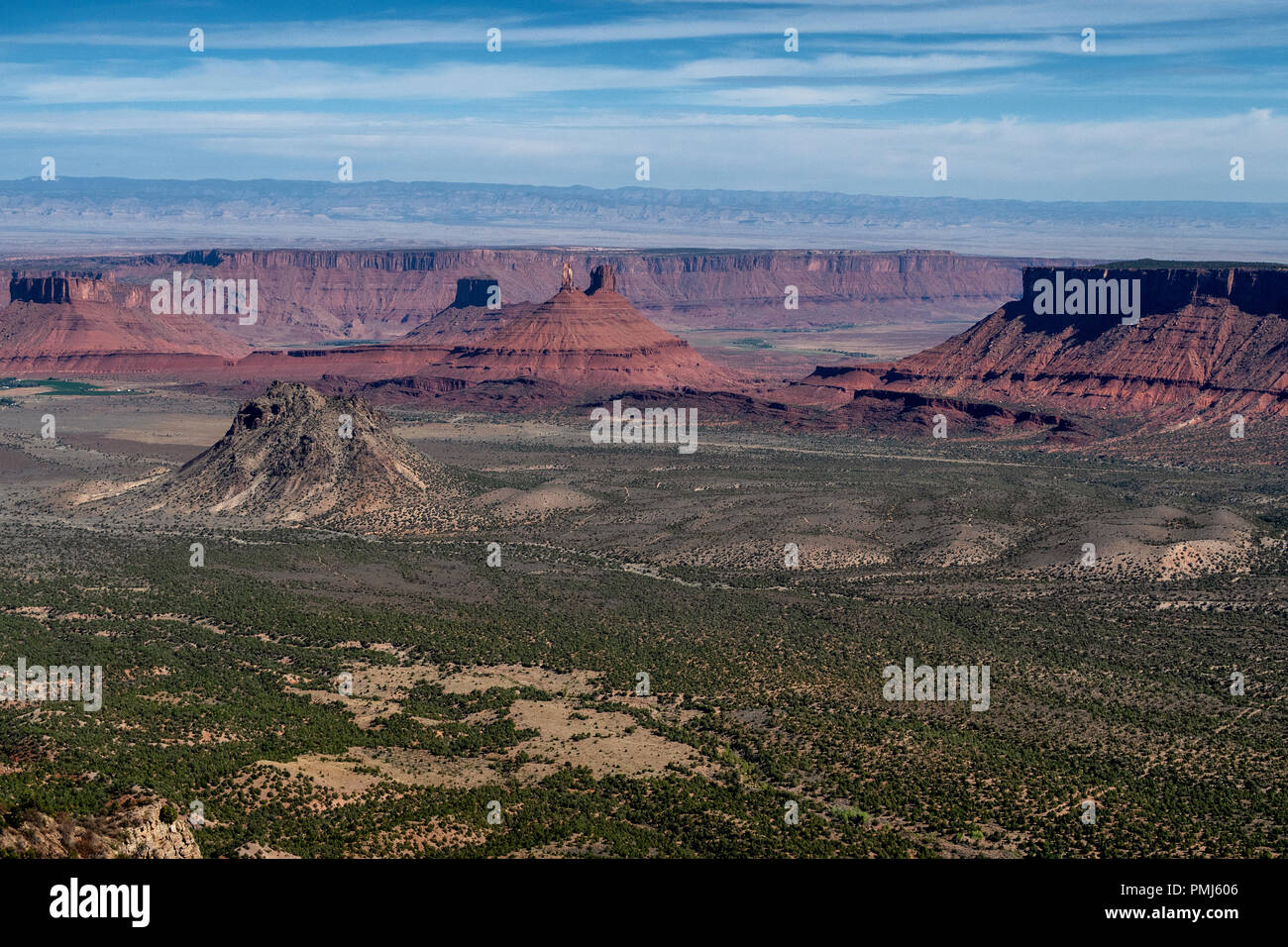 Porcupine desert hi-res stock photography and images - Alamy