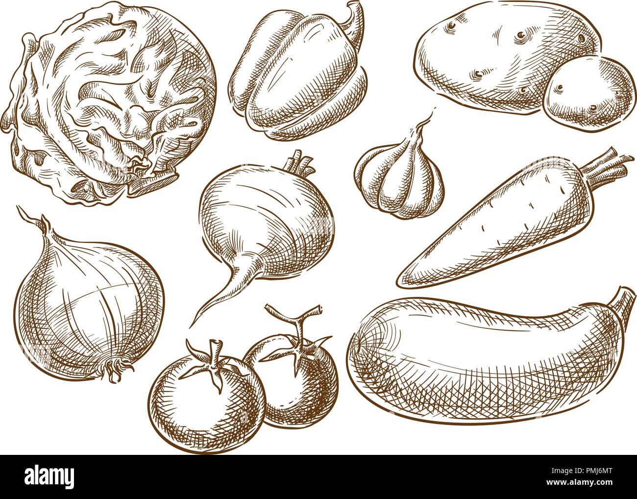 Creative conceptual vector. Sketch hand drawn vegetables illustration ...