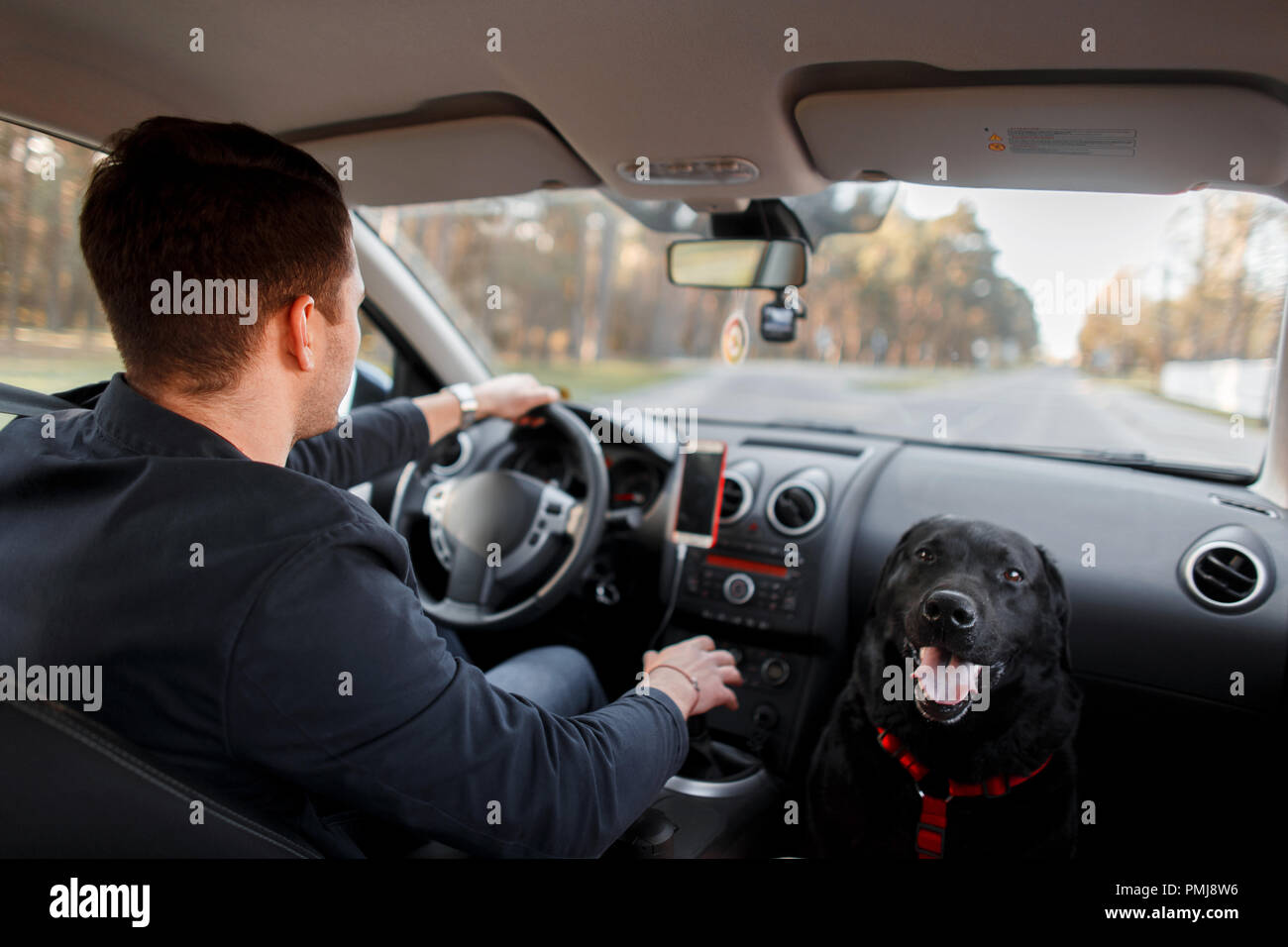 Concept travel young man with a dog in the car Stock Photo - Alamy