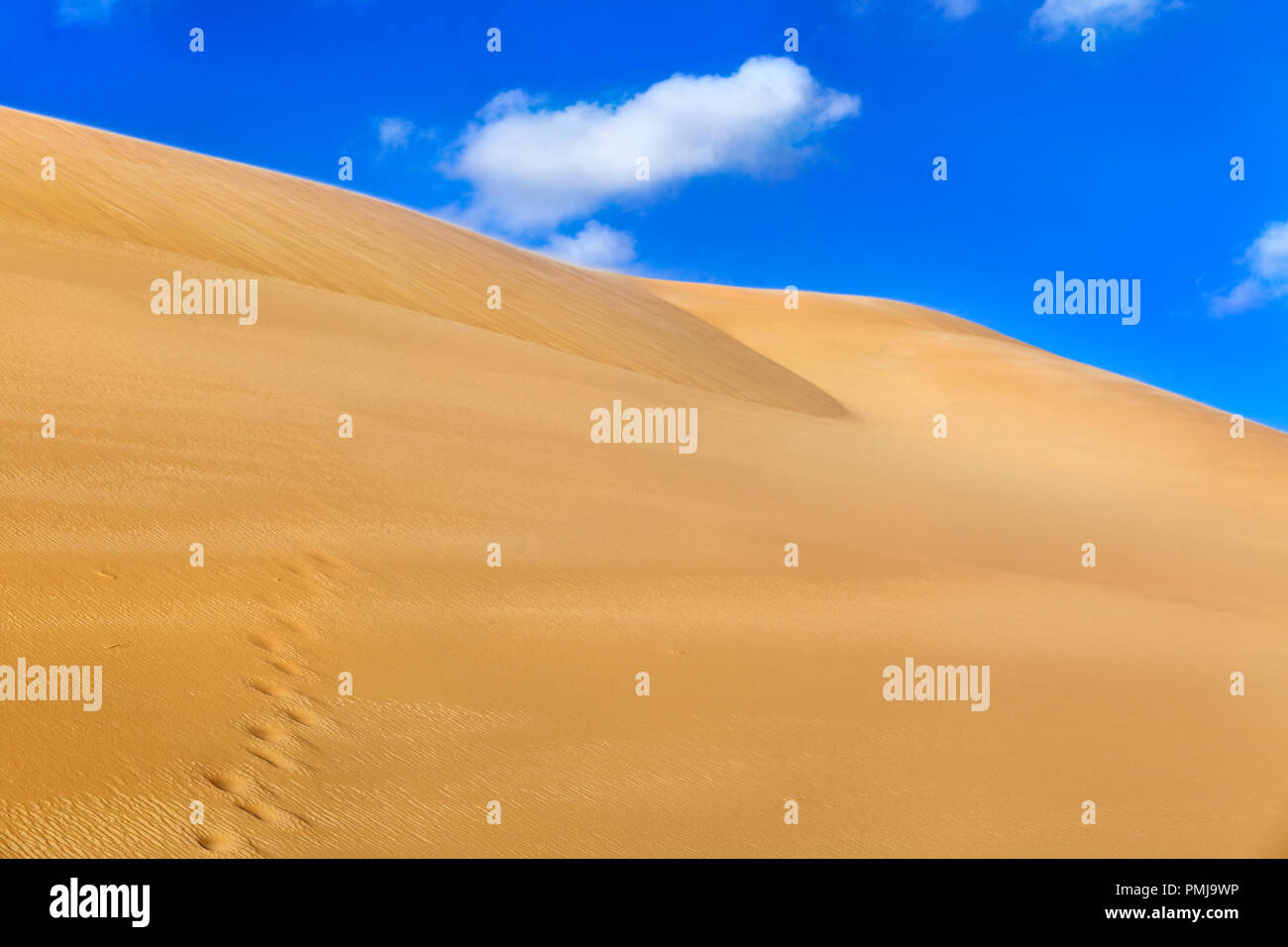 Sand dunes in the Sahara Desert Stock Photo - Alamy