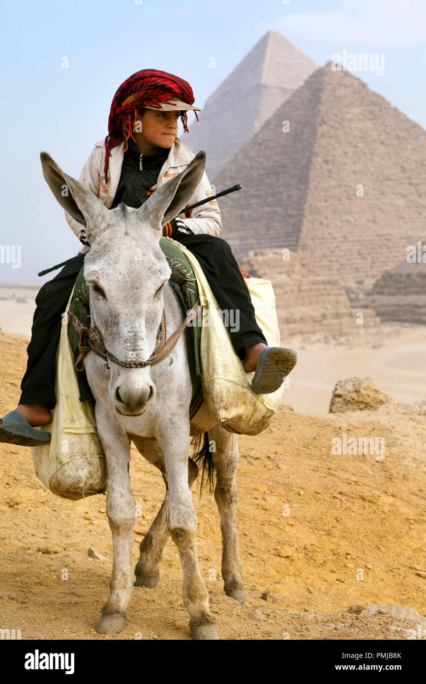 A donkey boy climbs a hill in a background of the Great Pyramids of ...