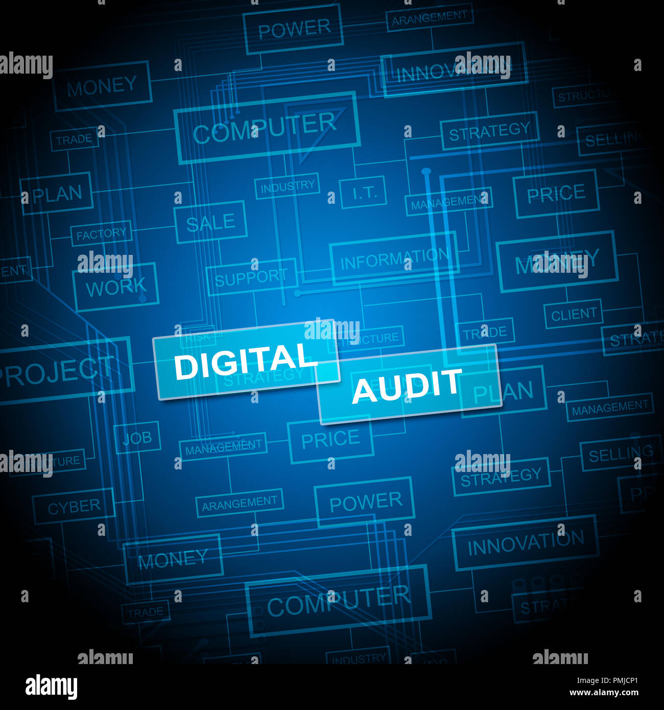 Digital Audit Cyber Network Examination 2d Illustration Shows Analysis By Auditor Of Digital