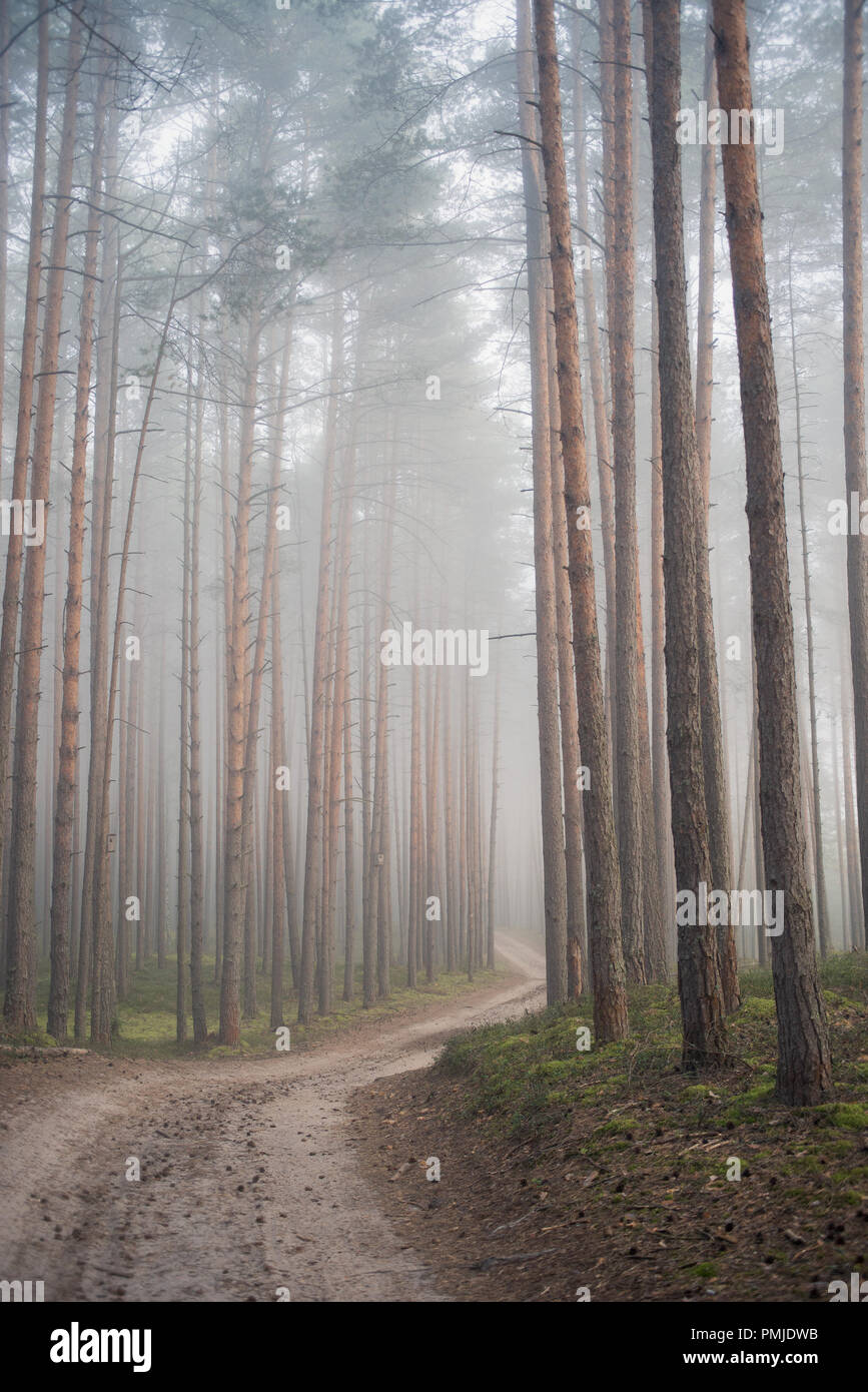 Fog trail hi-res stock photography and images - Alamy