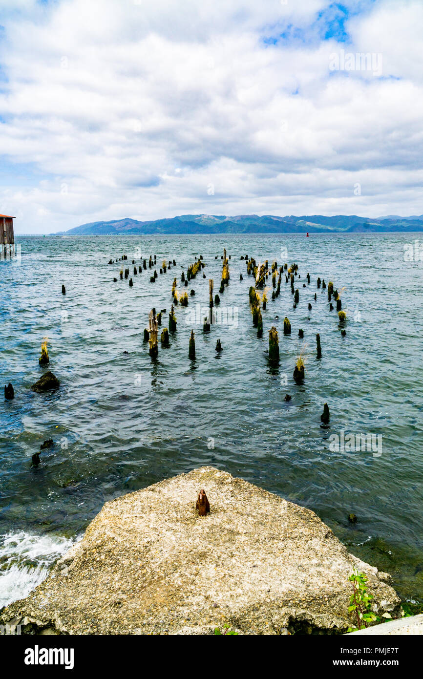 Pilings in the Columbia River at Astoria Oregon USA Stock Photo - Alamy