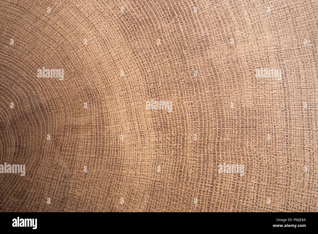 Wood cut background . Cutting oak stump. Creative vintage background ...