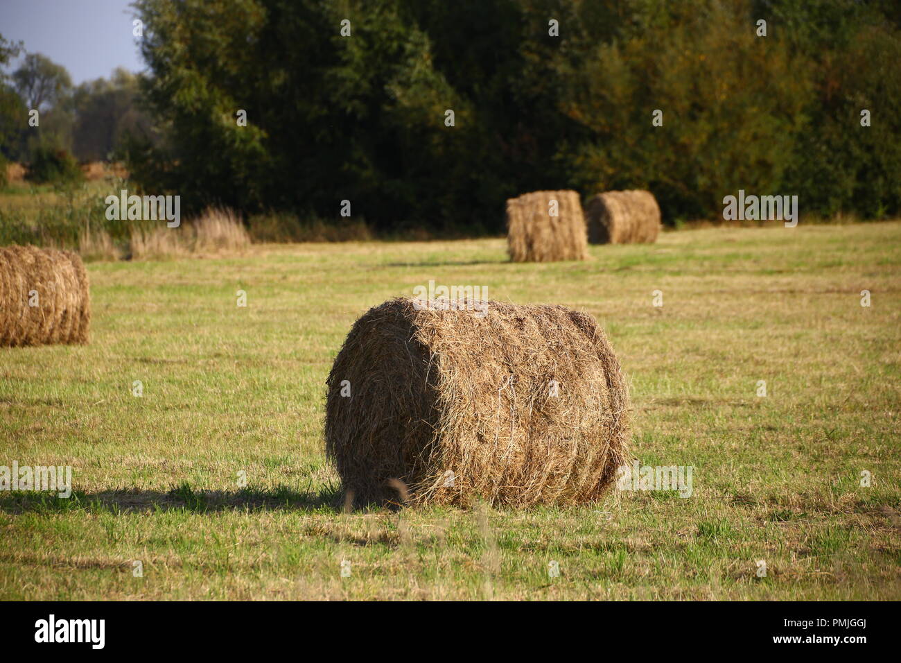 Stanislawow poland hi-res stock photography and images - Alamy