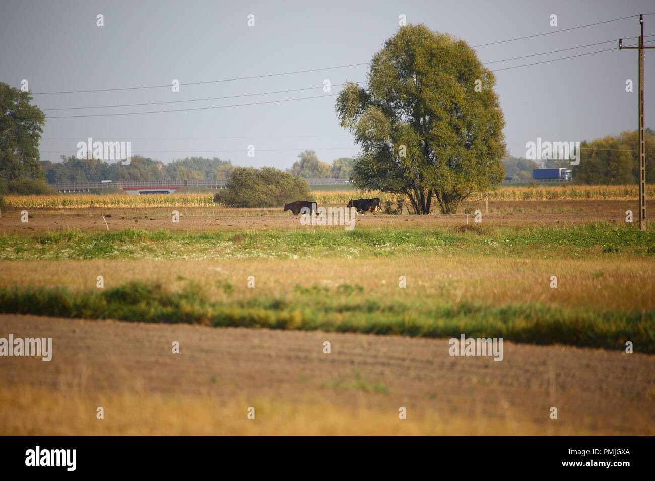 Stanislawow poland hi-res stock photography and images - Alamy