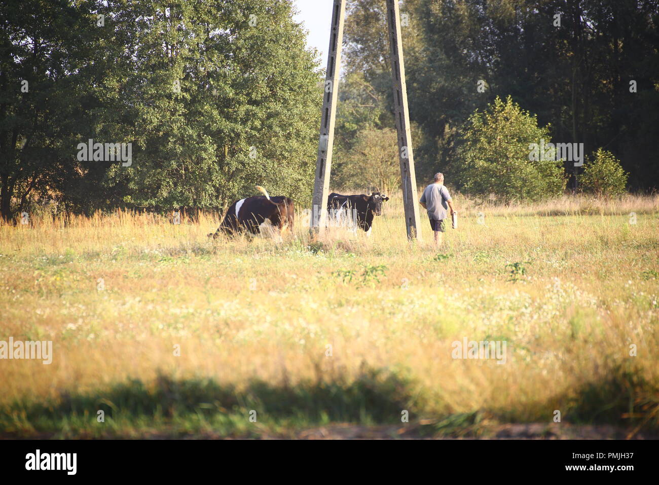 Stanislawow poland hi-res stock photography and images - Alamy