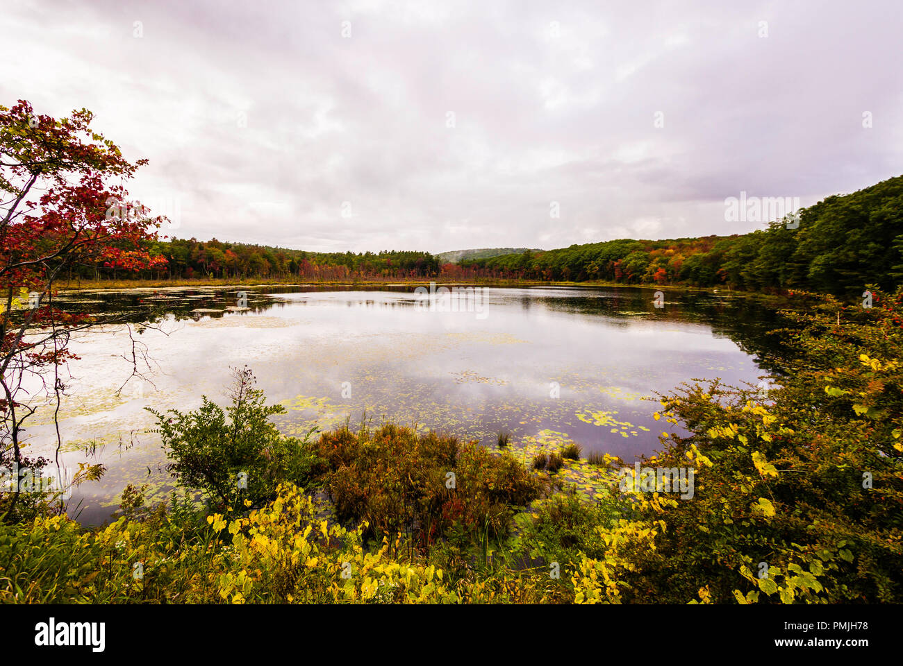 Autumn Pond Norfolk, Connecticut, USA Stock Photo - Alamy