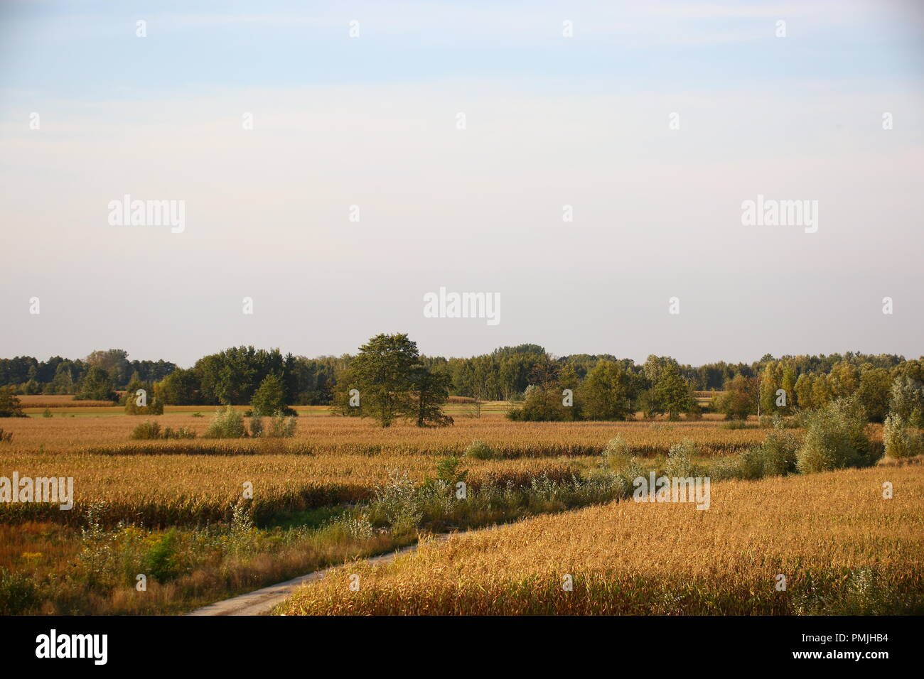 Stanislawow poland hi-res stock photography and images - Alamy