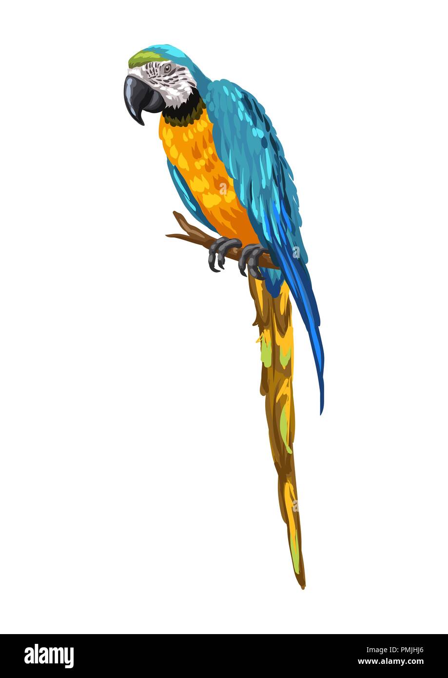 Parrot or parrots beak Stock Vector Images - Alamy