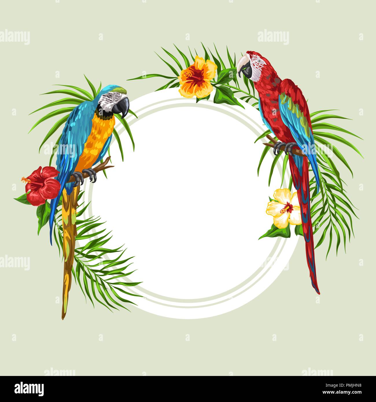 Tropical background with parrots Stock Vector Image & Art - Alamy
