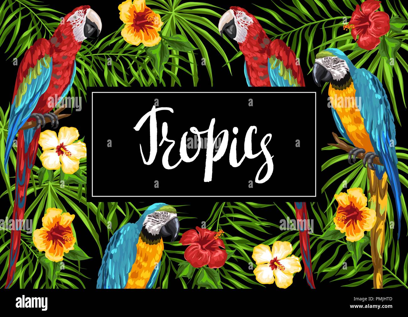 Tropical background with parrots Stock Vector Image & Art - Alamy