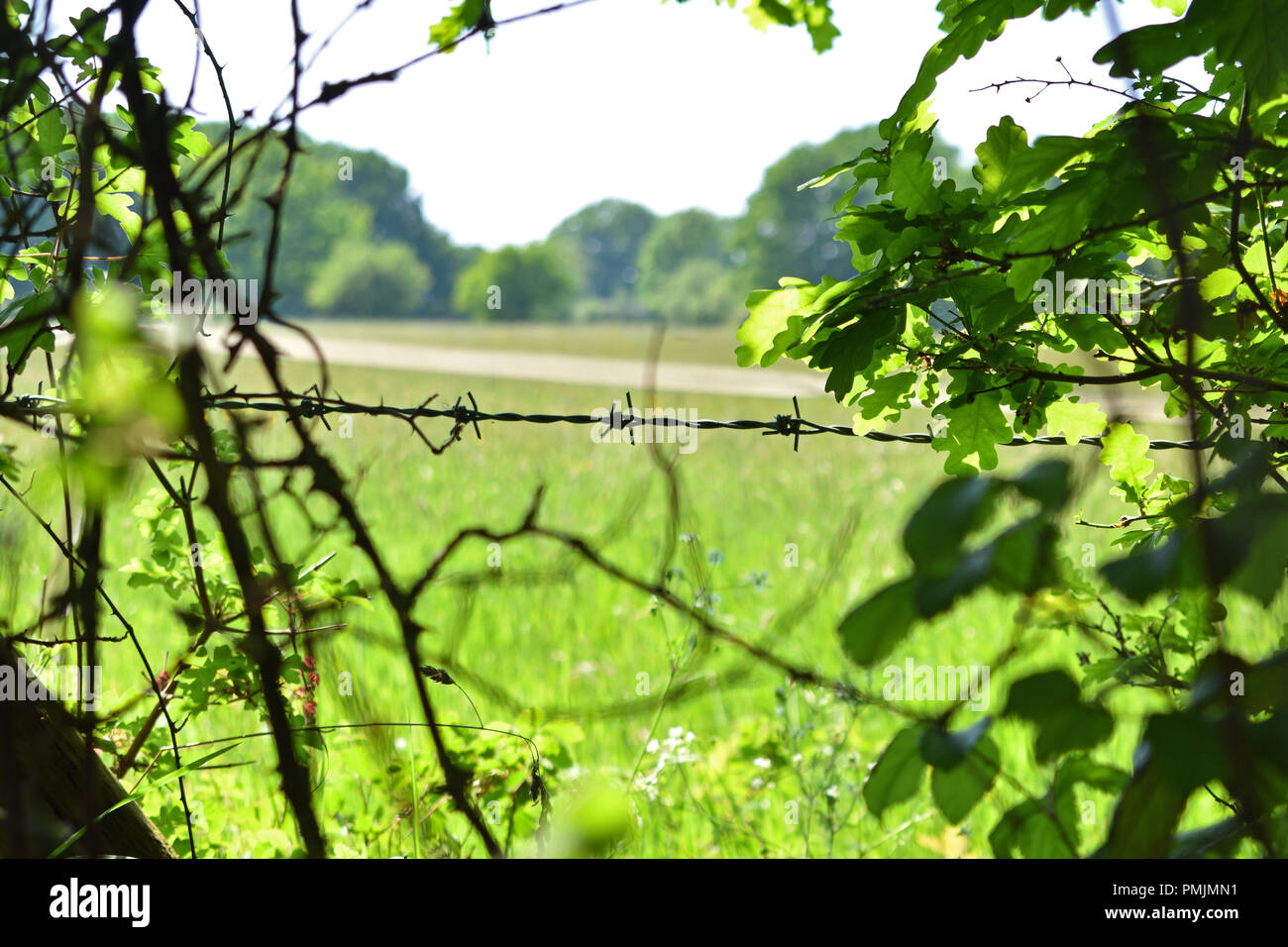 Barbed Wire Field Stock Photo - Alamy