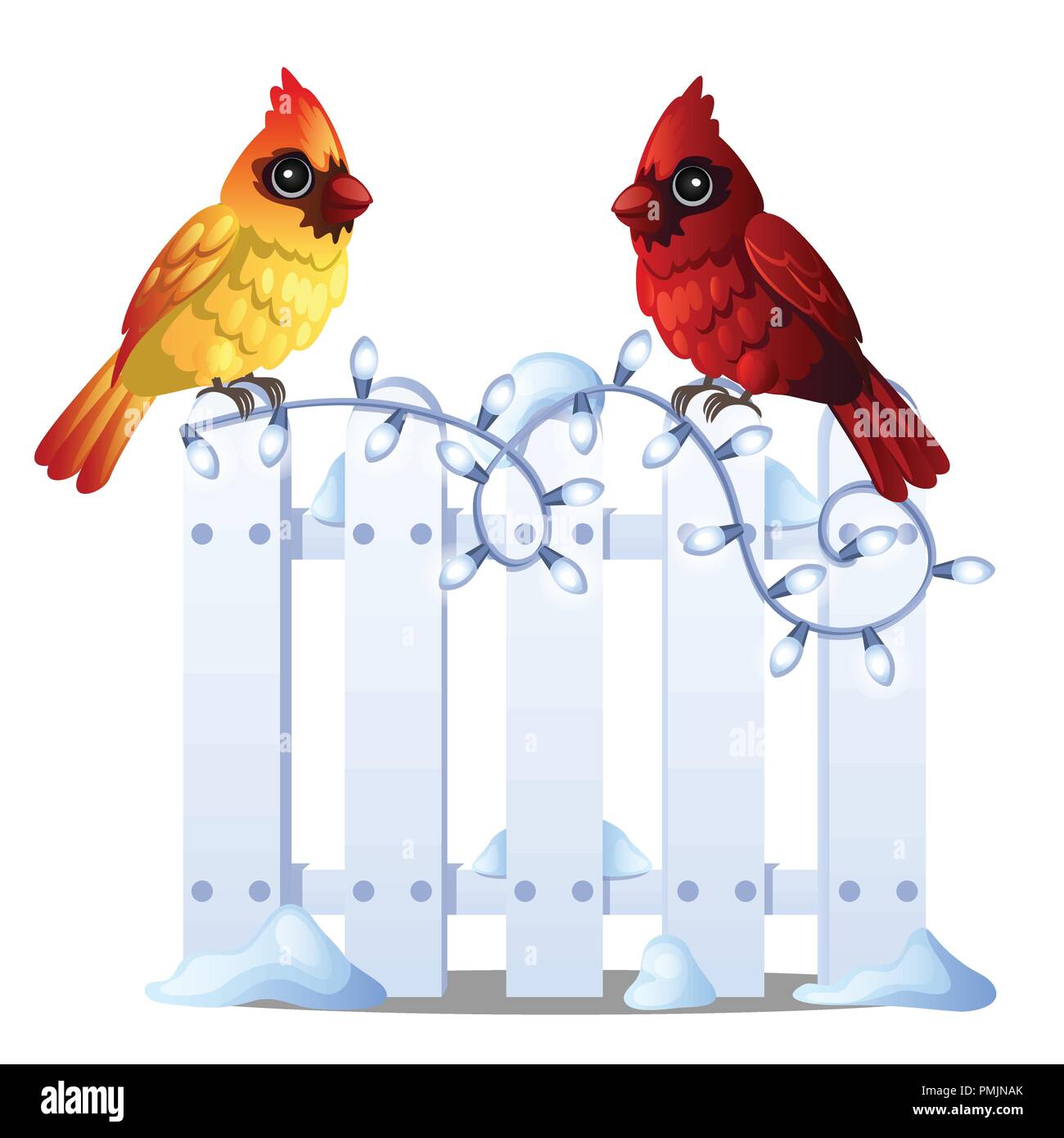 Northern Cardinal Bird