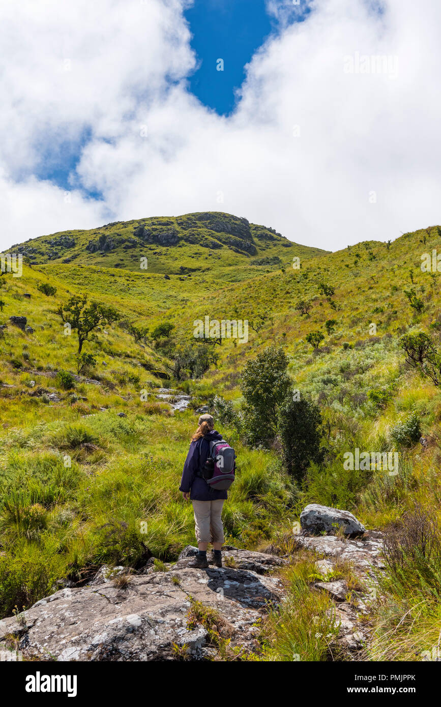A hikers climbs the slopes of Mt Inyangani in Zimbabwe's Rhodes Nyanga ...