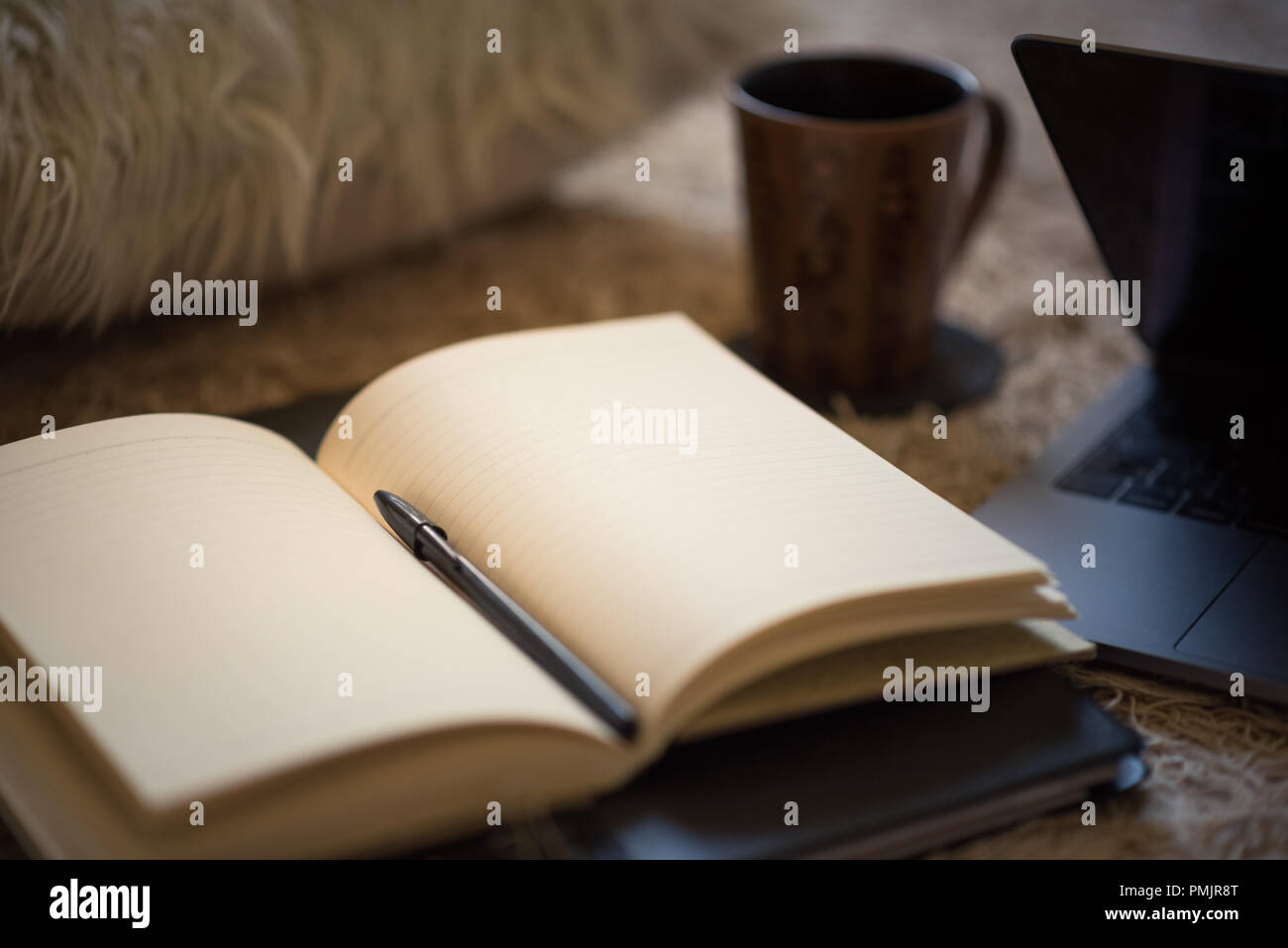 A blank, open diary with warm light falling on the pages, surrounded by ...