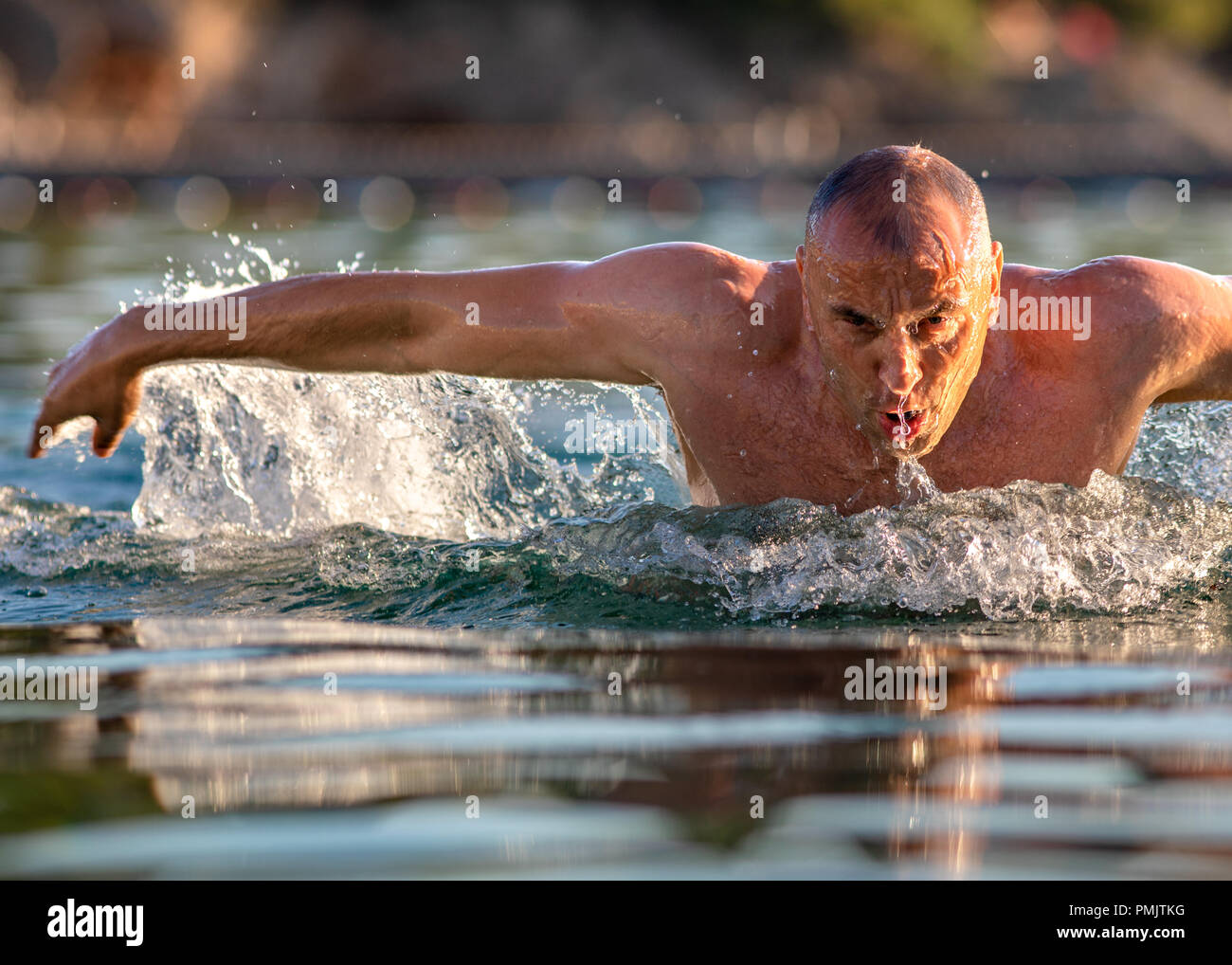 Muscular man swimming hi-res stock photography and images - Alamy