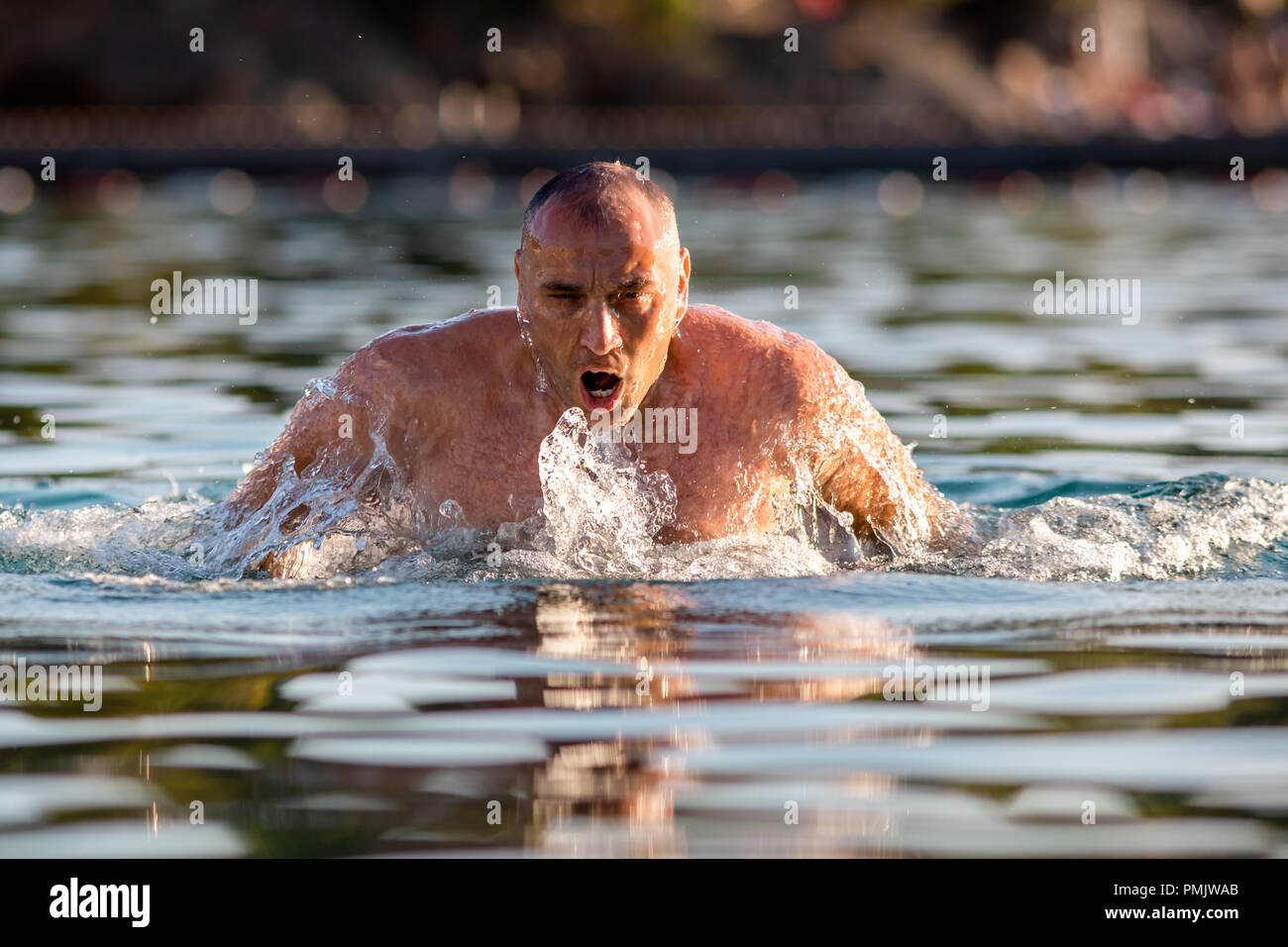 Muscular man swimming hi-res stock photography and images - Alamy