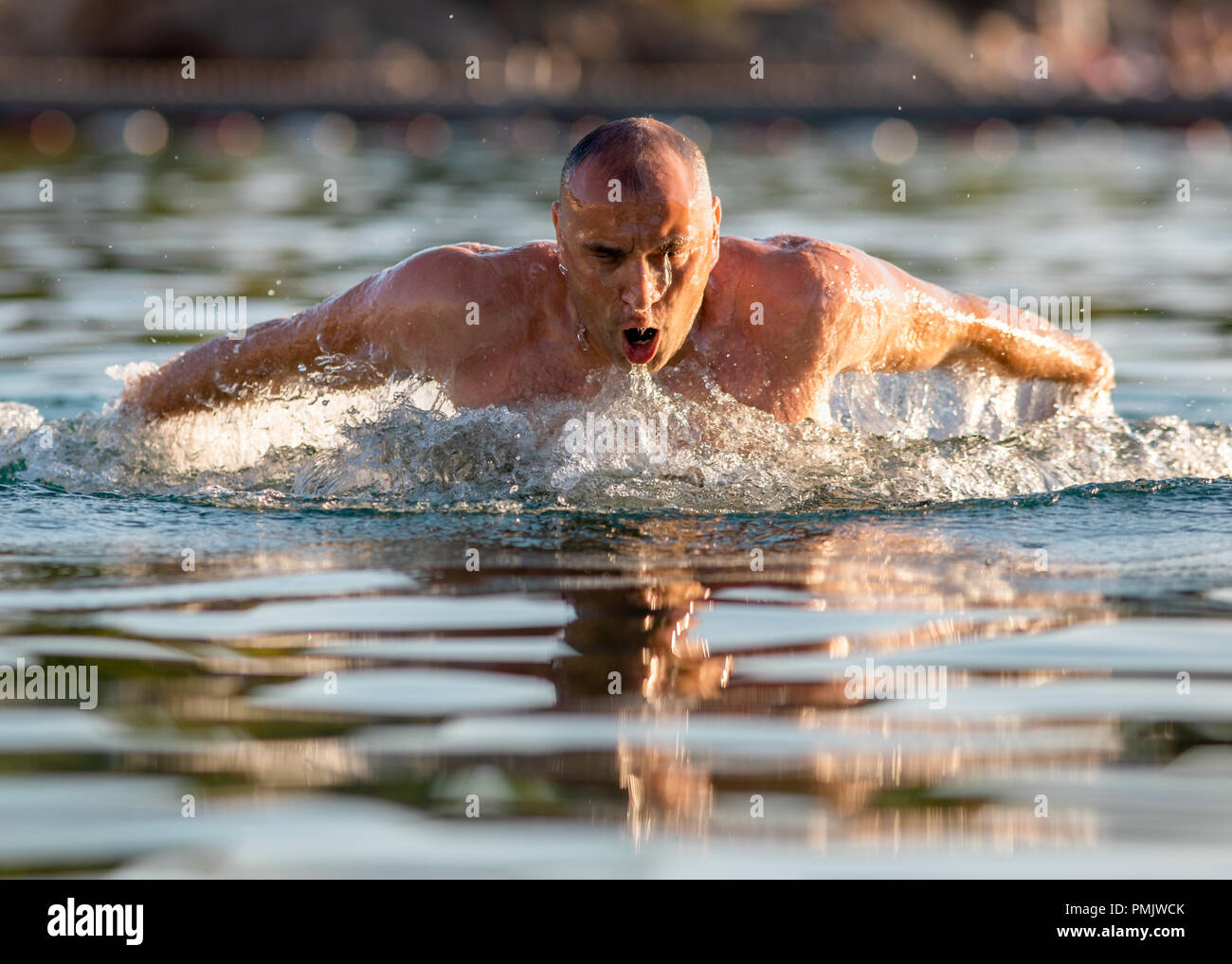 Muscular man swimming hi-res stock photography and images - Alamy