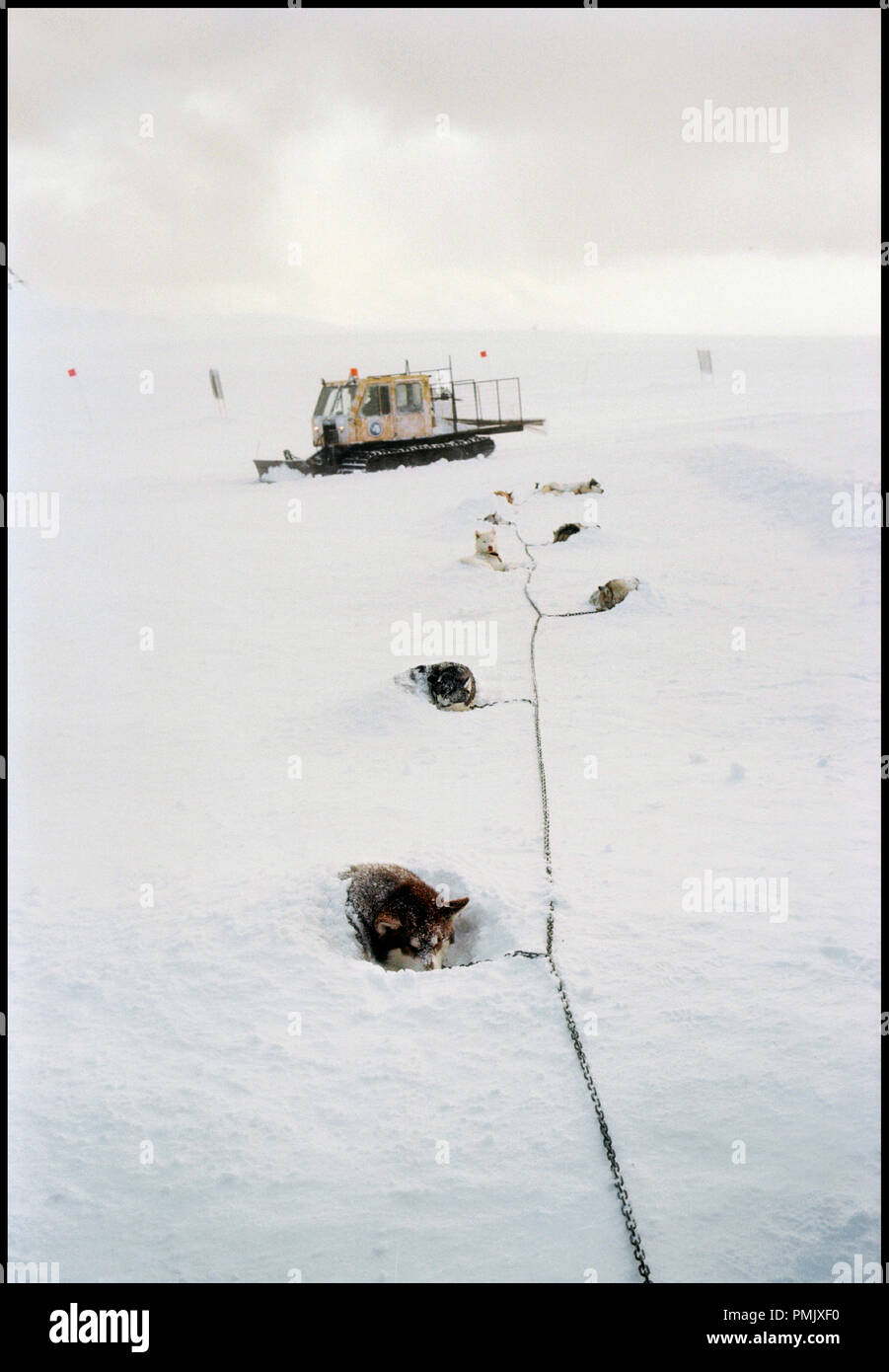Frank Marshall Eight Below Antarctica Stock Photos & Frank Marshall ...