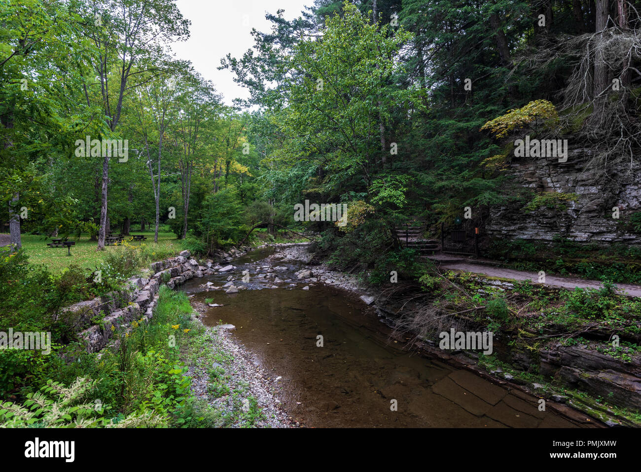 Robert H. Treman State Park: Gorge Trail Stock Photo - Alamy