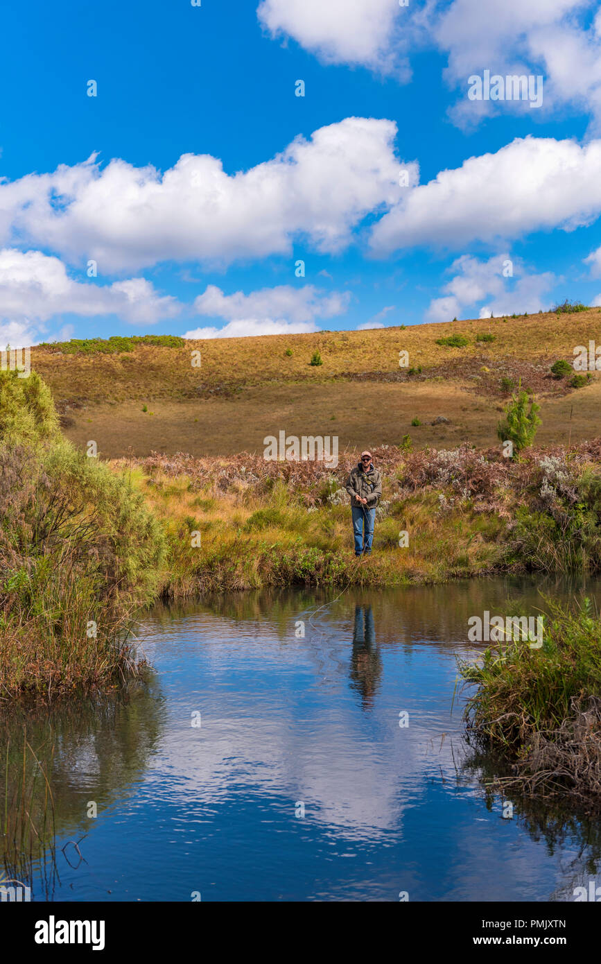 A fly fisherman plies the wild rivers of Nyanga National Park in ...
