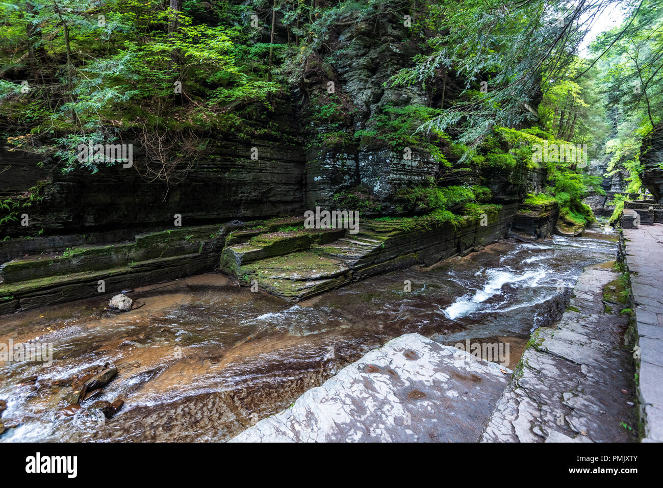 Robert H. Treman State Park: Gorge Trail Stock Photo - Alamy