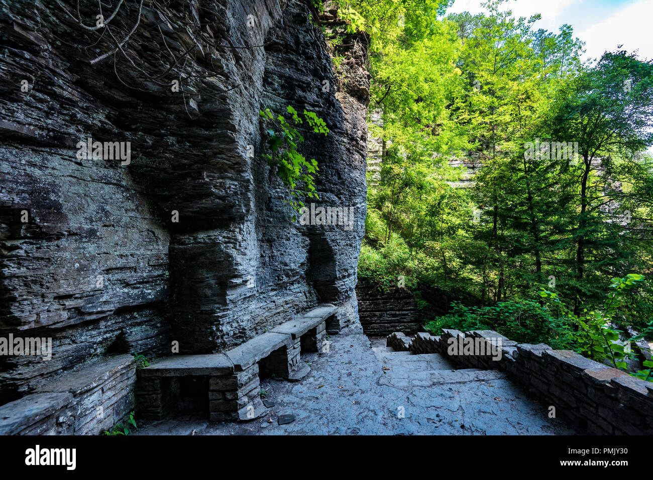 Robert H. Treman State Park: Gorge Trail Stock Photo - Alamy