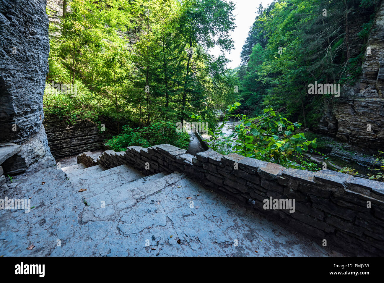 Robert H. Treman State Park: Gorge Trail Stock Photo - Alamy