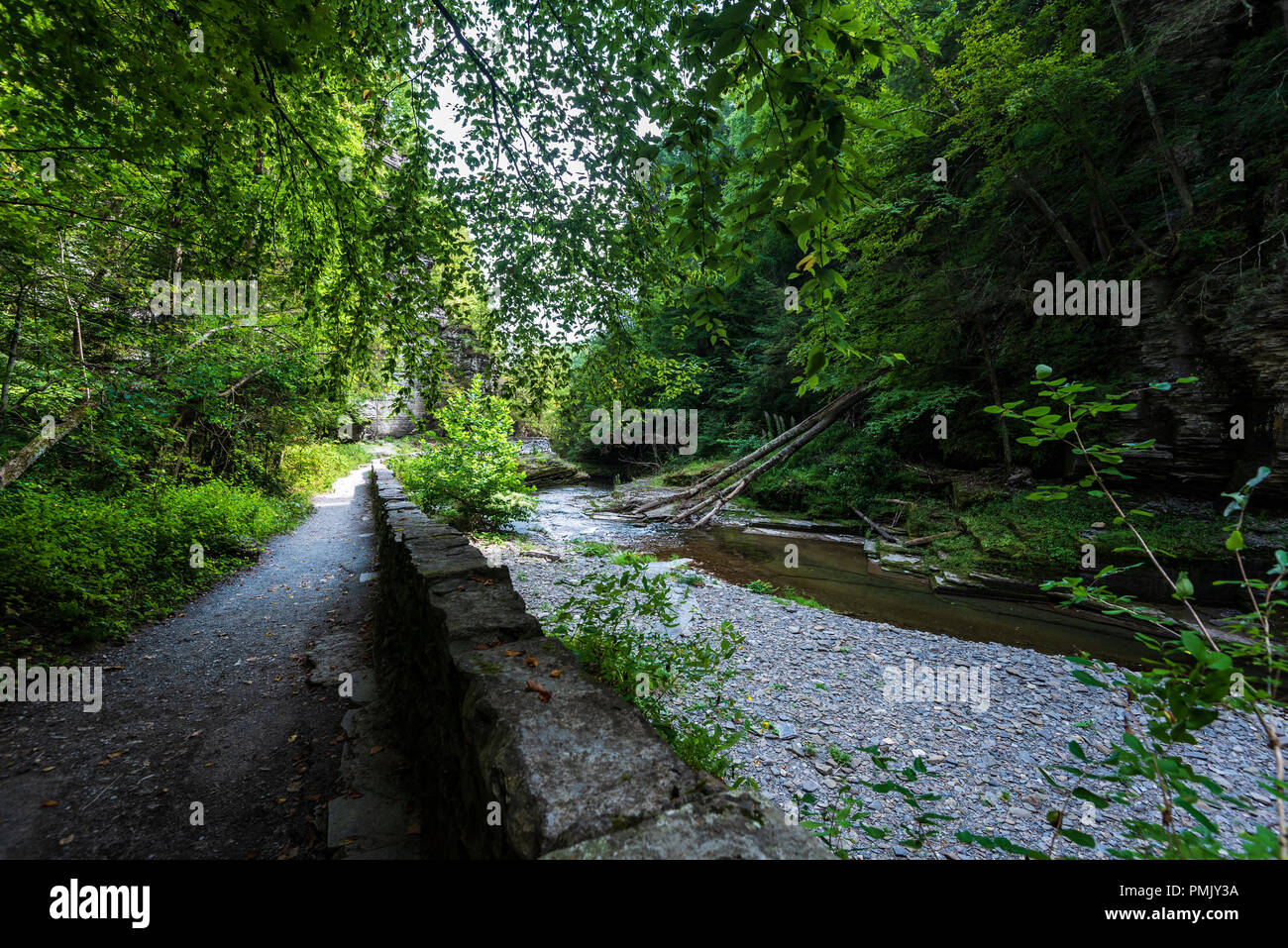 Robert H. Treman State Park: Gorge Trail Stock Photo - Alamy