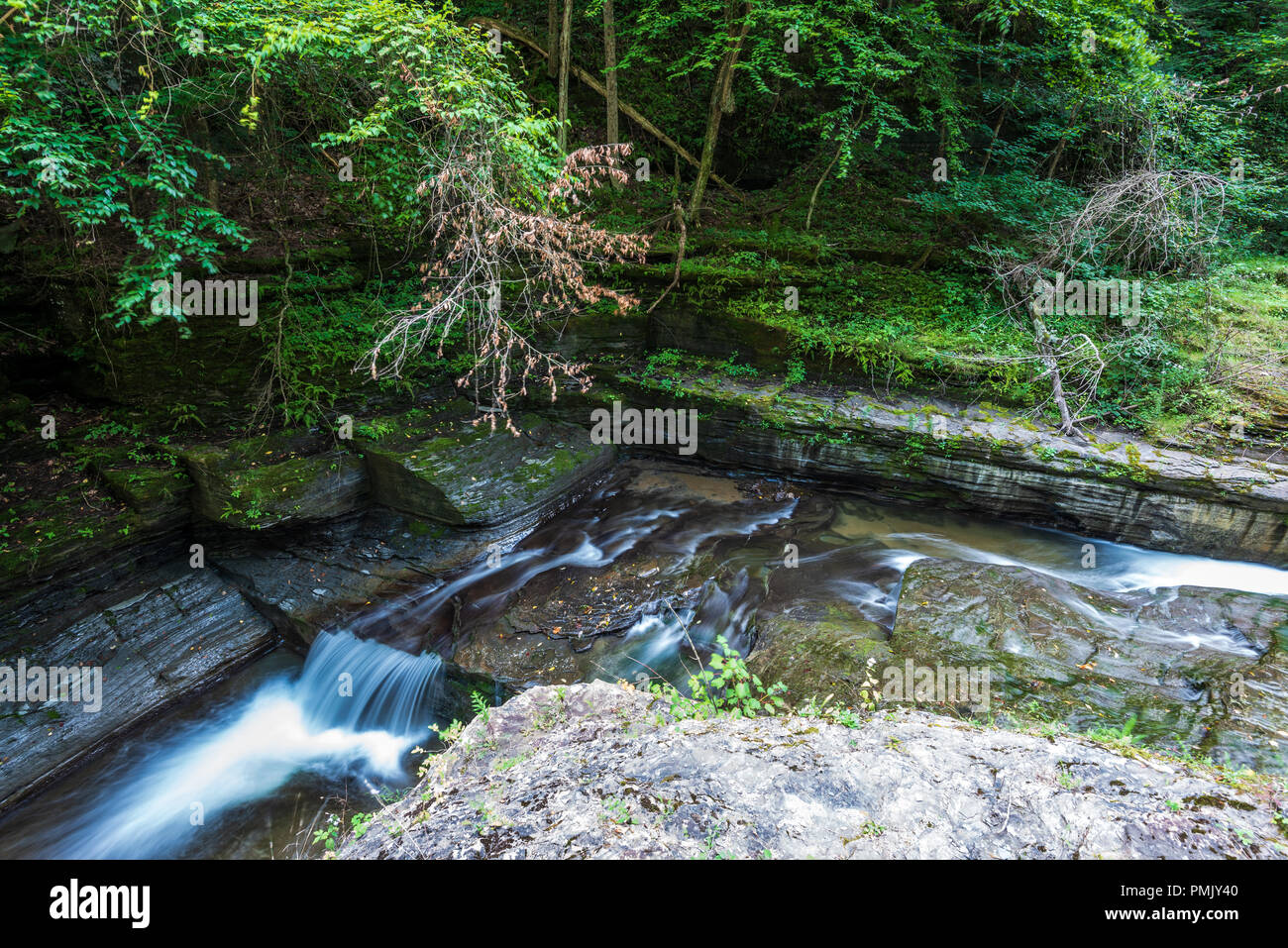 Robert H. Treman State Park: Gorge Trail Stock Photo - Alamy